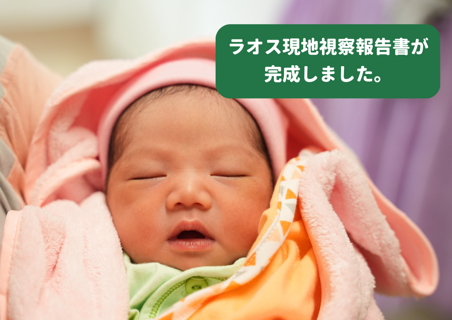 ラオス現地視察報告書が完成しました。 – 世界の子どもにワクチンを 日本委員会